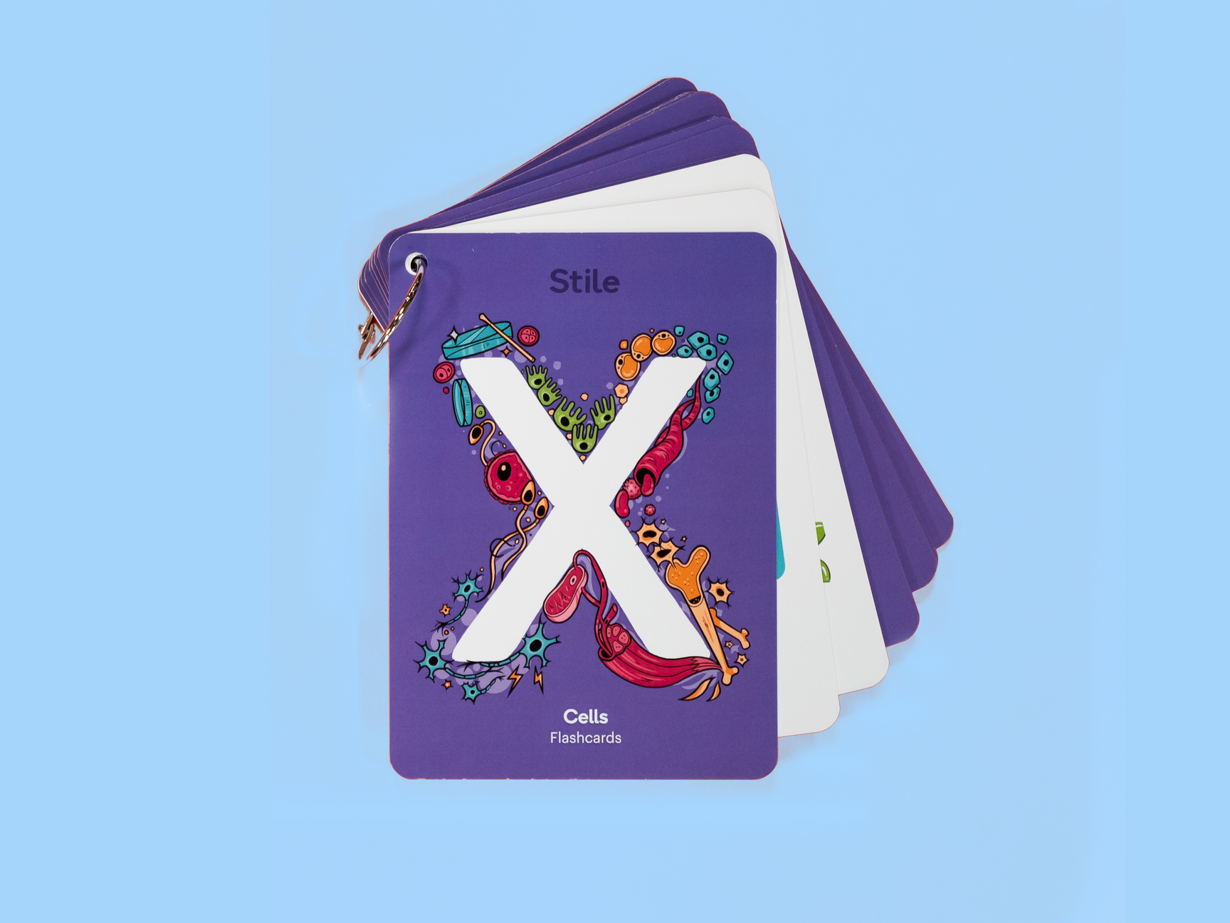 Teaching Resources – Stile Education