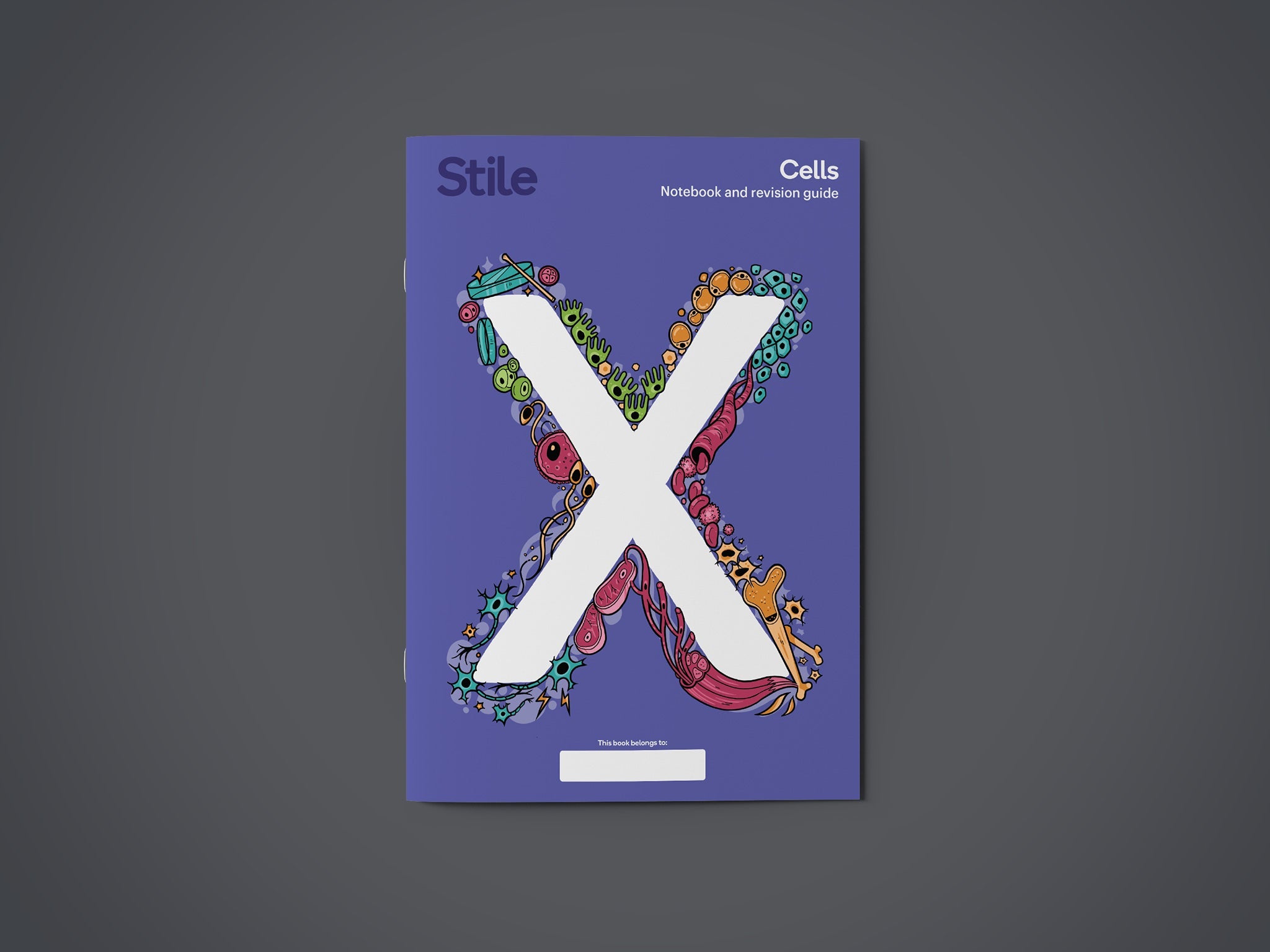 Stile X Workbooks – Stile Education
