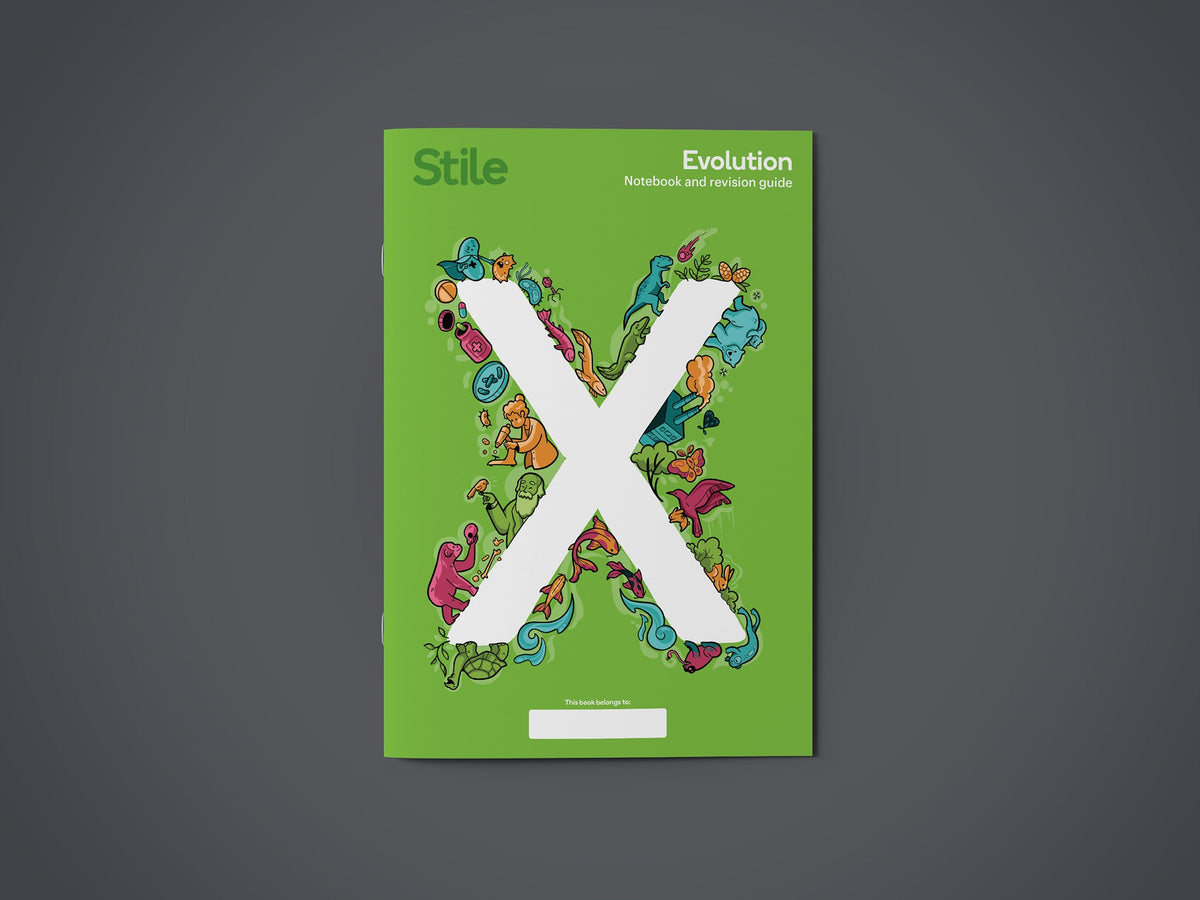 Evolution - Stile X workbook – Stile Education