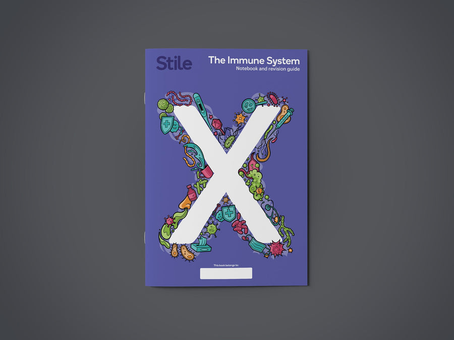 The Immune System - Stile X workbook – Stile Education