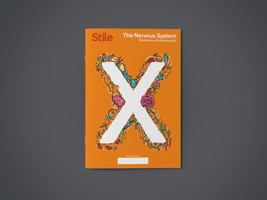 The Nervous System - Stile X workbook – Stile Education